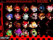 Survivors | The unofficial Outcome Memories Wiki | Fandom